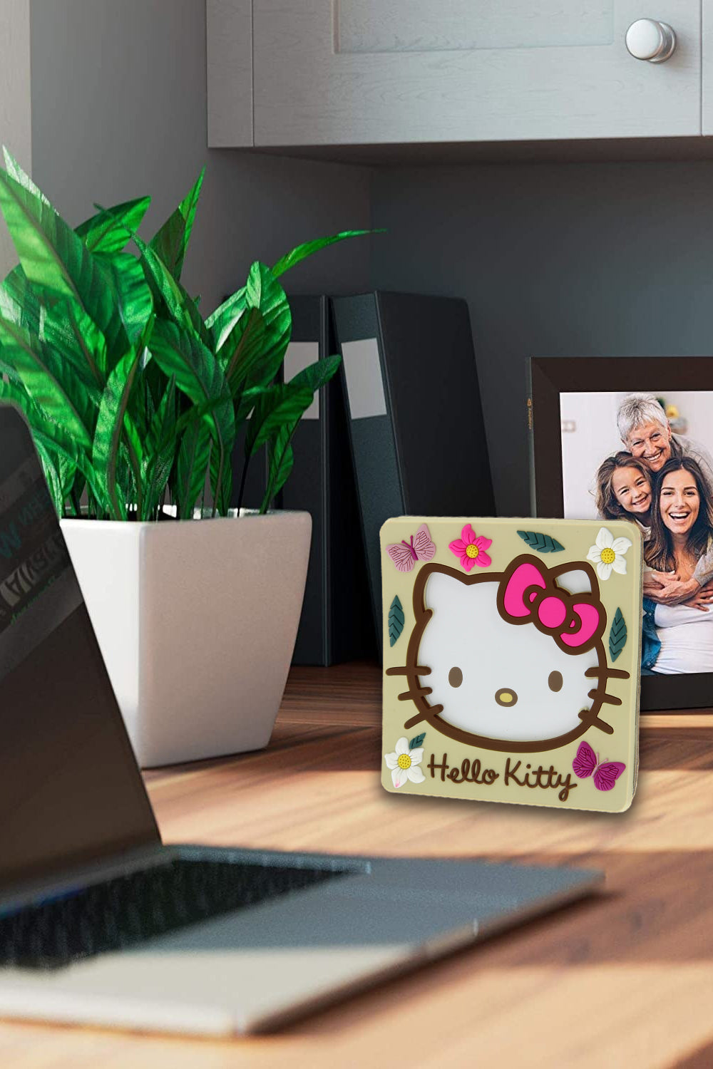 Hello Kitty Vintage Photo Frame